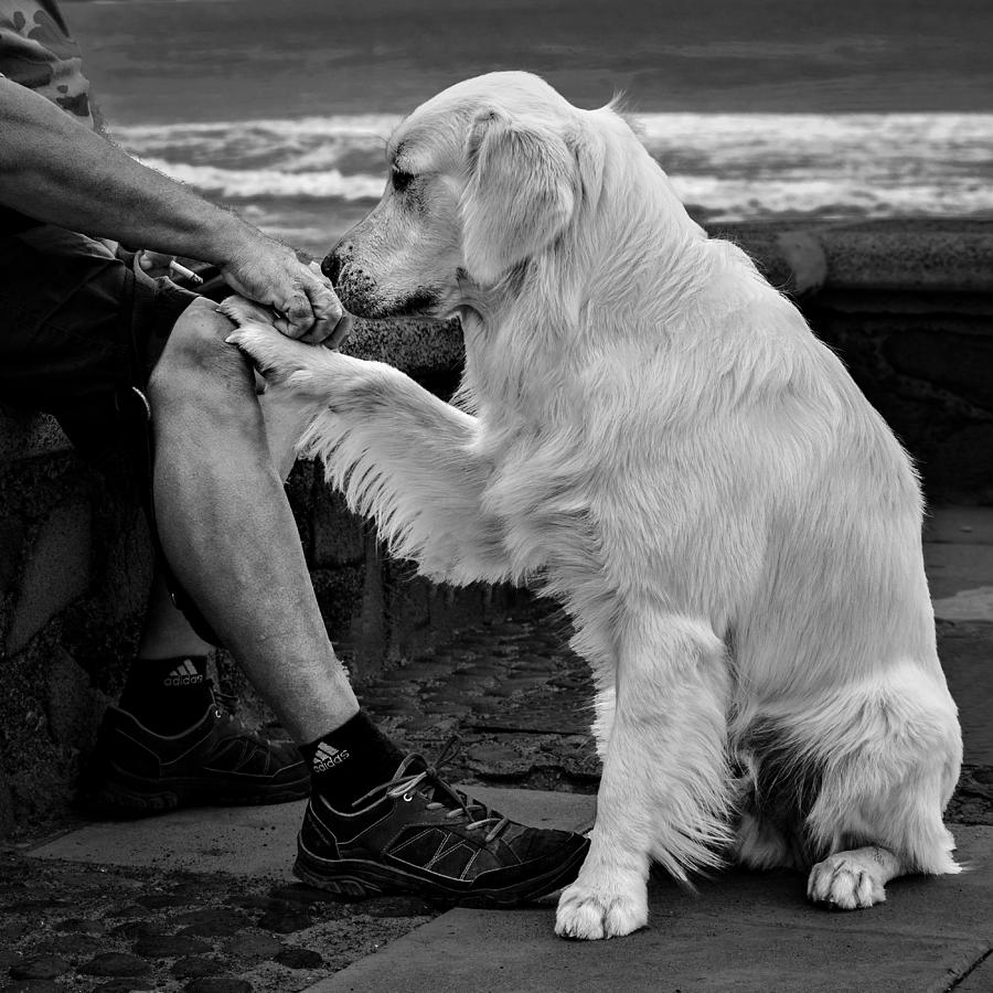 Bond Photograph by Montserrat Alviani - Fine Art America