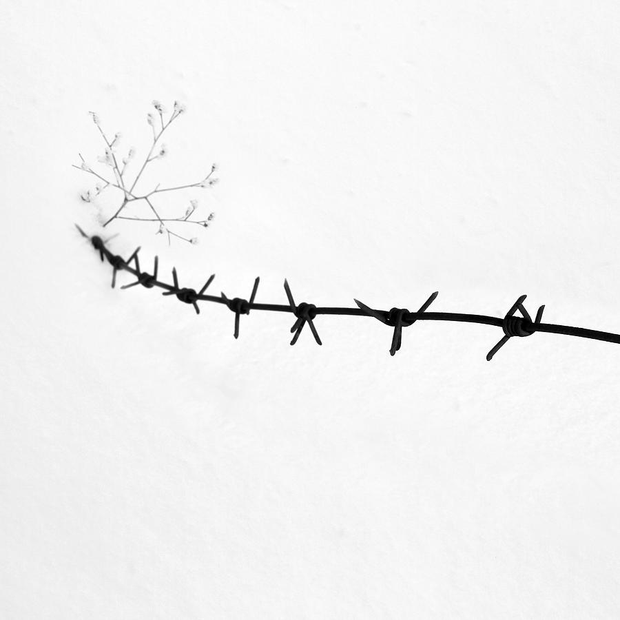 Bondage Photograph by Mostafa Nodeh - Fine Art America