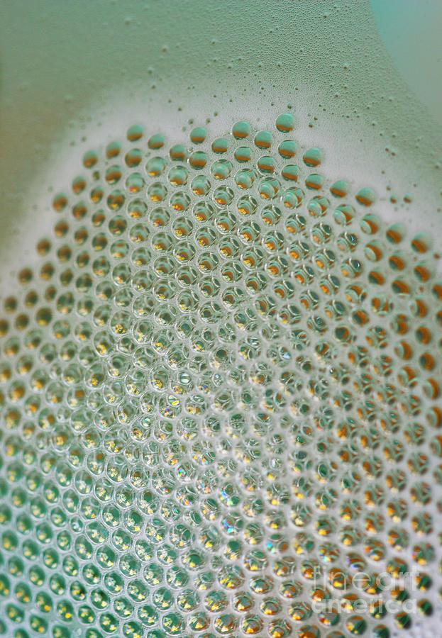 Bubbles In A Hexagonal Array. Photograph by David Parker/science Photo ...