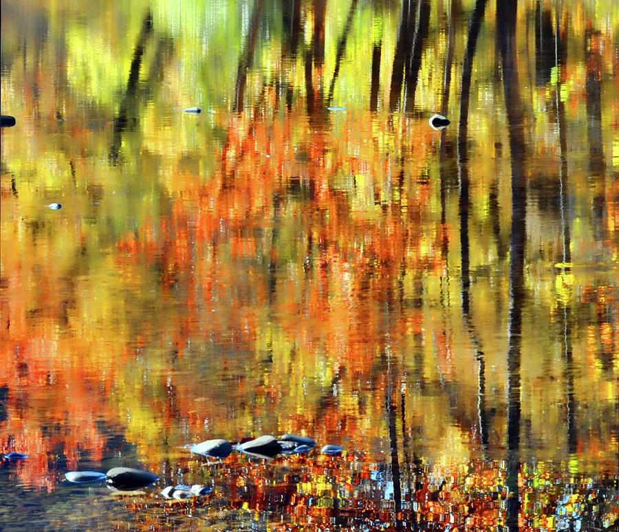 Buffalo River Fall Reflection Photograph by Daniel T DuLany - Fine Art ...