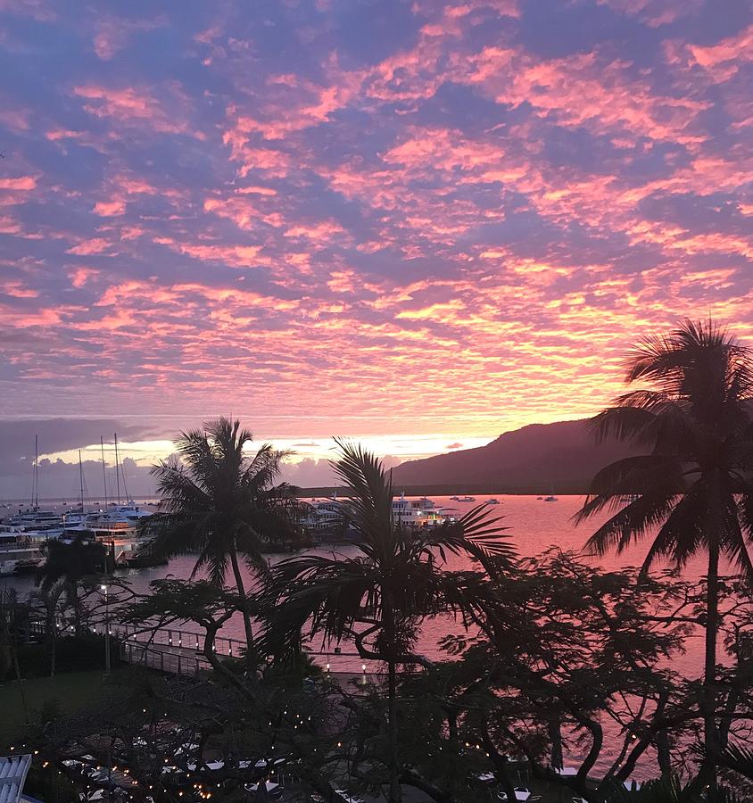 Cairns Harbor Sunset Photograph by Nick Nordstrom - Fine Art America