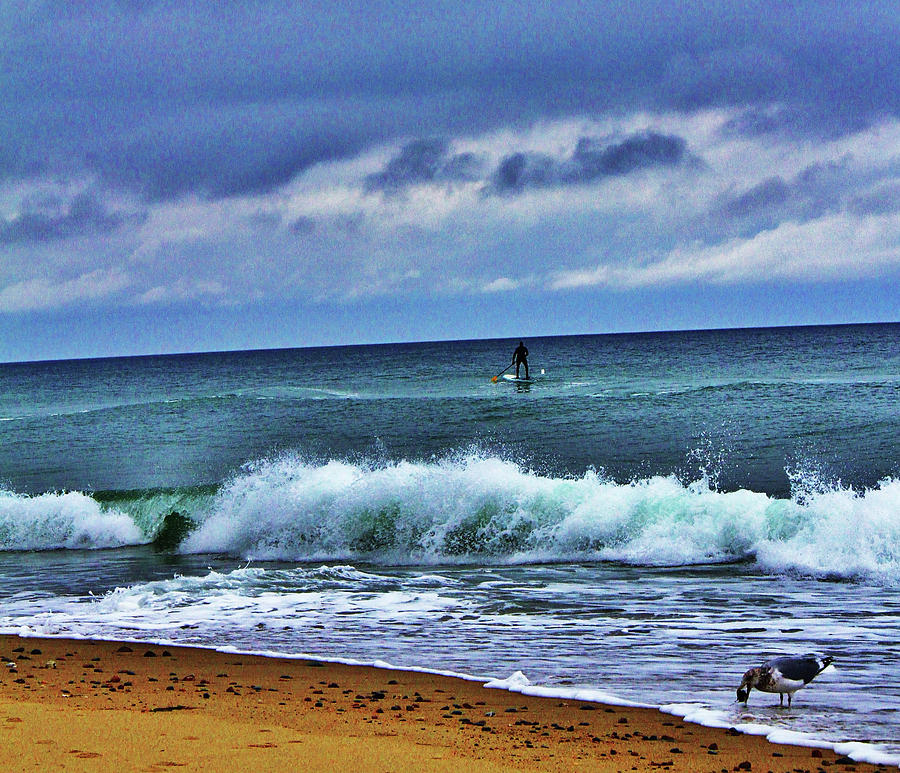 Cape Cod surfer Photograph by Michael Perry - Fine Art America