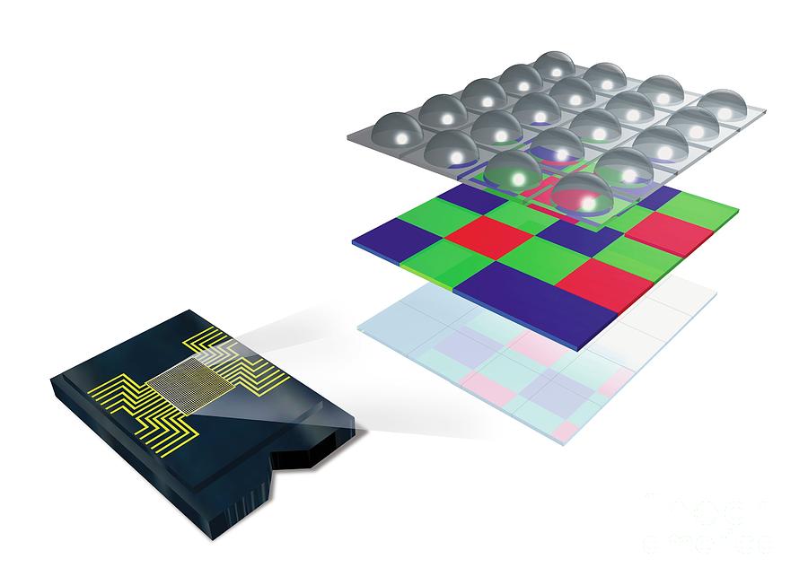 Ccd Array by Science Photo Library