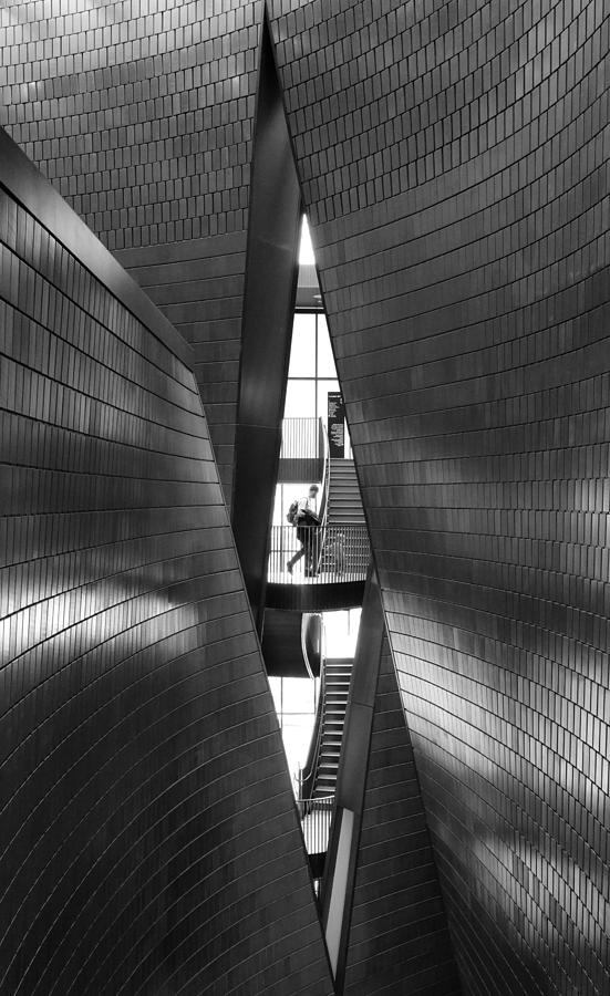 Chasing Light Photograph by Lynn Adams - Fine Art America