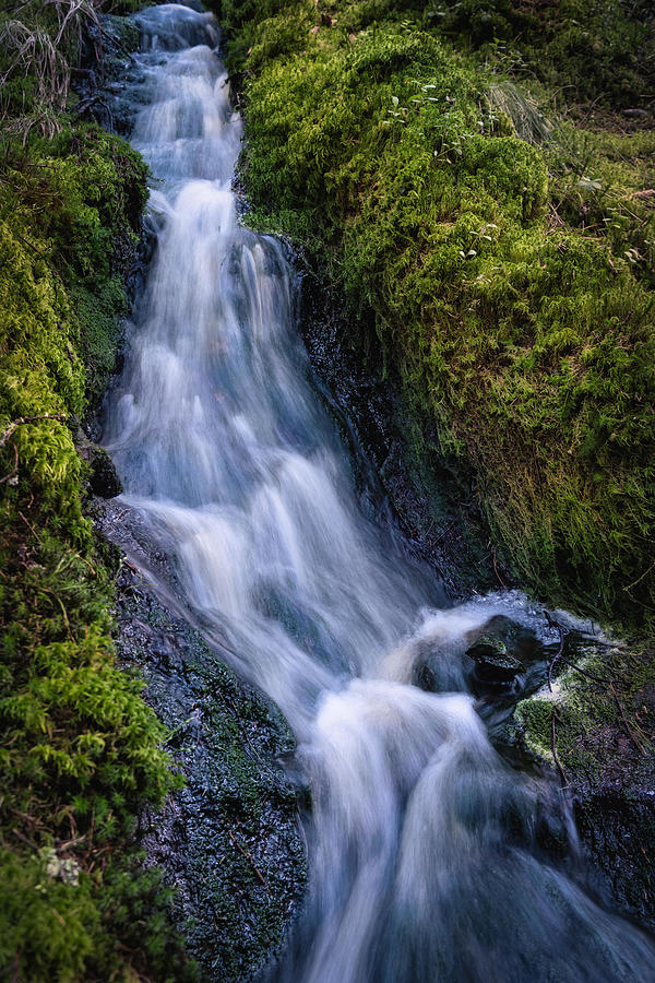 Close-up From Spring Stream At Summer Photograph by Jani Riekkinen ...