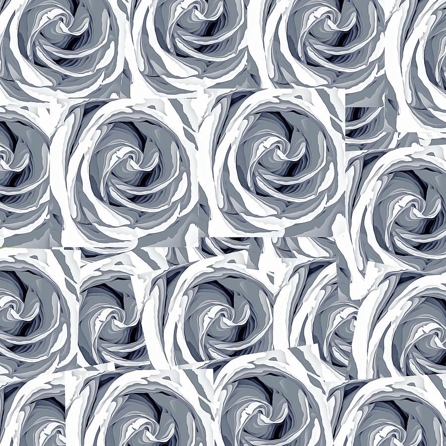 Closeup White Rose Texture Pattern Abstract Background Digital Art by ...