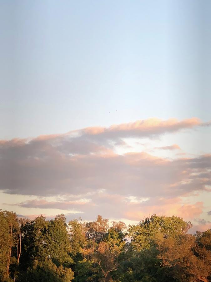Clouds Above THE TREES Photograph by Freddy Alsante - Fine Art America