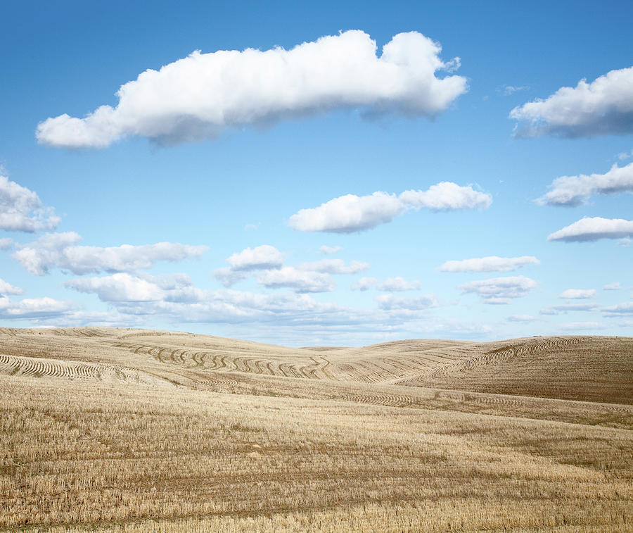 Clouds Over Fields by Adrian Studer