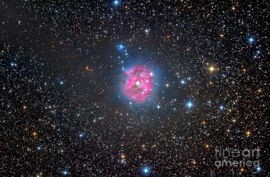 Cocoon Nebula