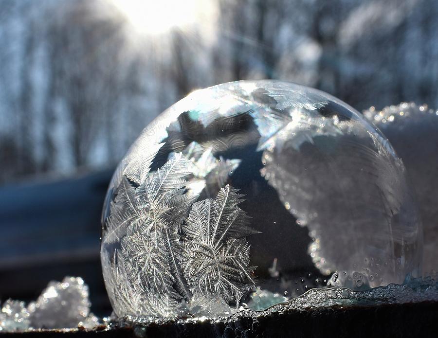 Cold Enough to Freeze Photograph by Laura Jonsson | Fine Art America Cold Enough to Freeze Photograph by Laura Jonsson | Fine Art America
