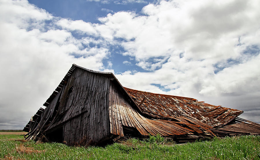 Collapsed old barn Photograph by Kathy Nicklen - Fine Art America