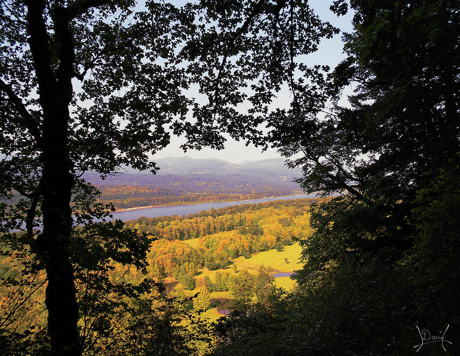 Oregon Mountain's through Treeline Photograph by Danielle Hepler - Pixels