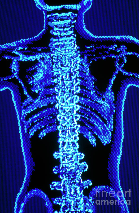 Computer Representation Of The Human Body Photograph by Carlos ...