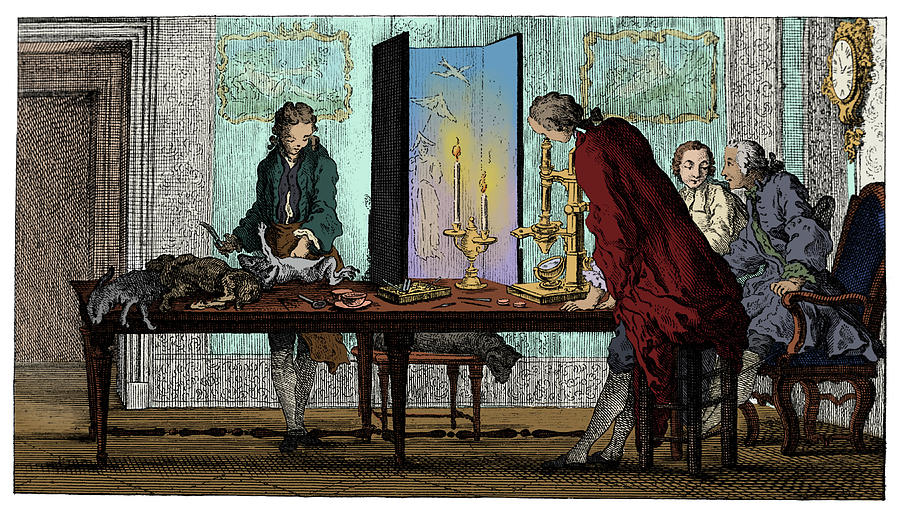 Comte De Buffon Using Microscope Photograph by Science Source | Fine ...