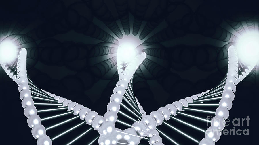 Convergence Evolution by Science Photo Library