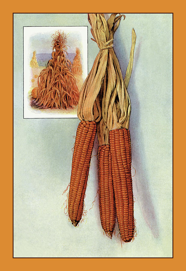 Corn Painting by Unknown - Fine Art America