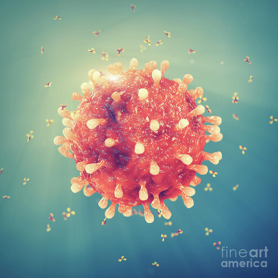 Coronavirus Particle Photograph by Science Photo Library - Fine Art America