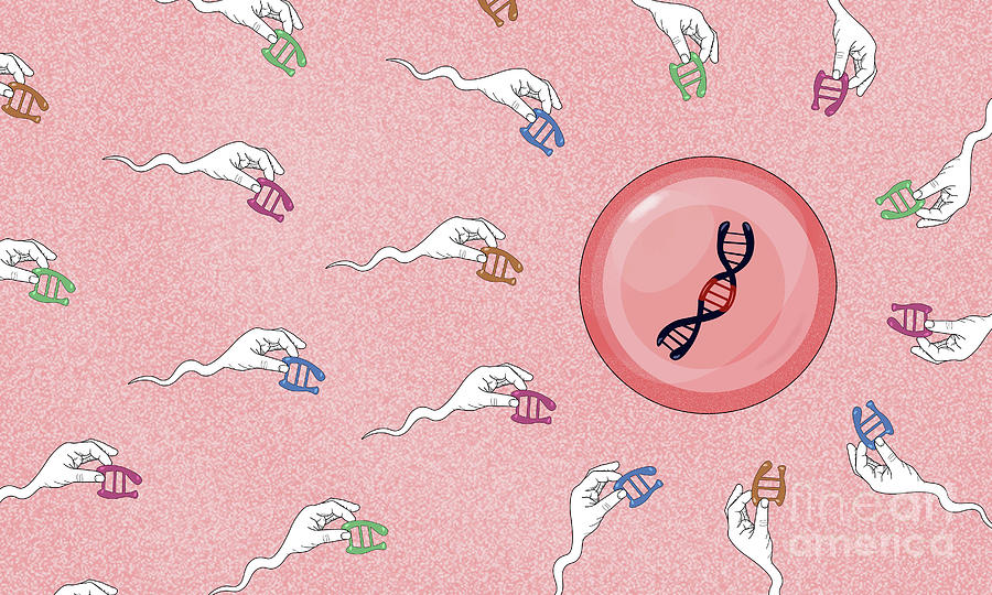 Crispr Gene Editing Photograph by Thom Leach / Science Photo Library ...