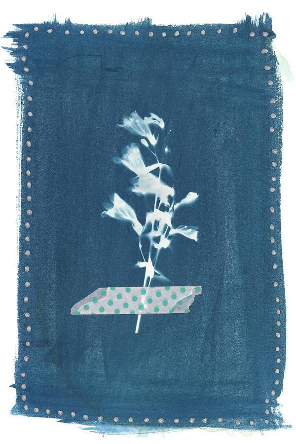 Cyanotype Pressed Leaves I Painting by Regina Moore - Fine Art America