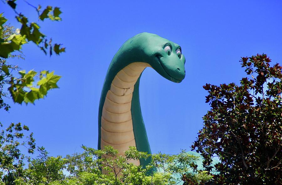 Dino Magic Photograph by John Ring - Fine Art America
