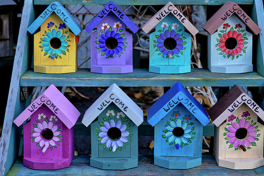 Display Of Colorful Bird Houses For Sale Digital Art by Claudia Uripos ...
