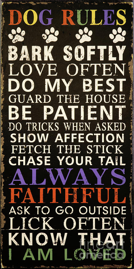 Dog Rules Photograph by Jerry Editor - Fine Art America