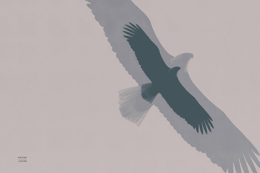 Double Eagle Flight Photograph by Nathan Larson - Fine Art America