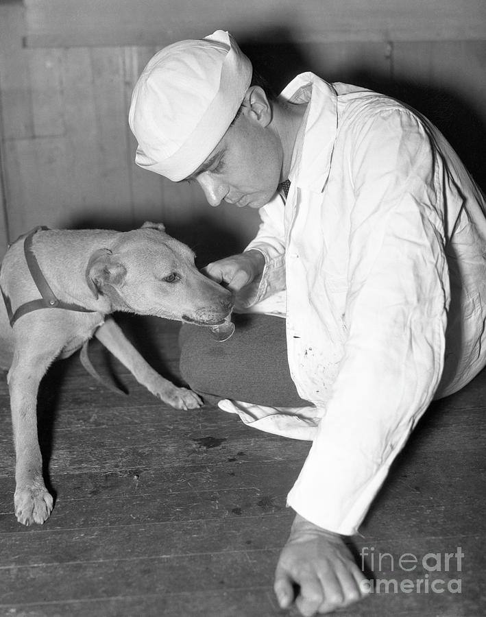 Dr. Robert E. Cornish by Bettmann