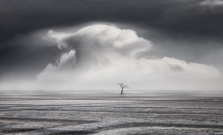 Dry Land Photograph by Uschi Hermann - Fine Art America