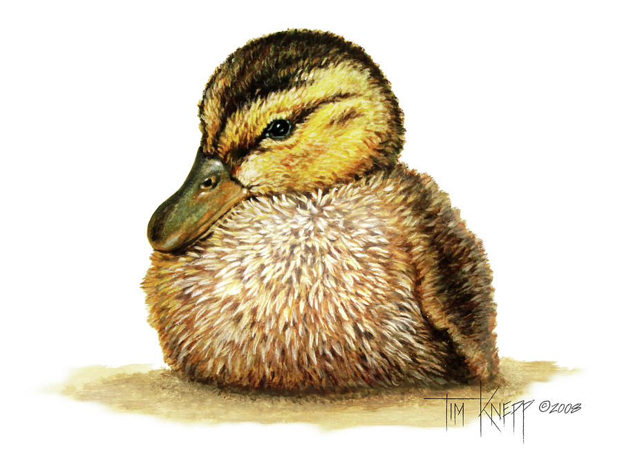 Duckling Painting by Tim Knepp - Fine Art America