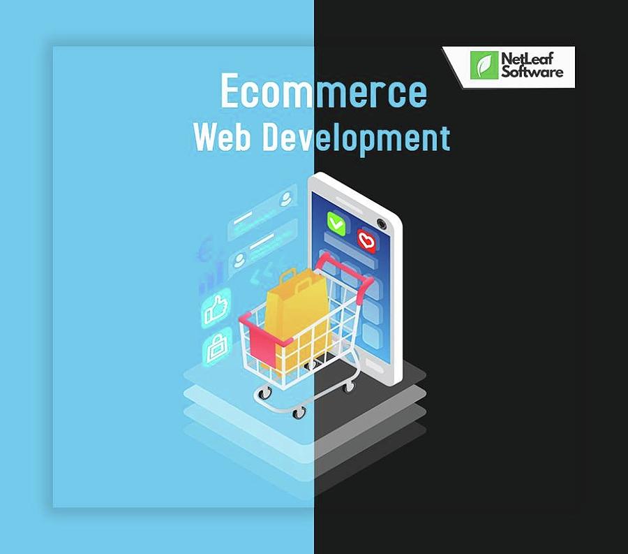 E commerce Web Development Digital Art by Netleaf Software - Fine Art ...