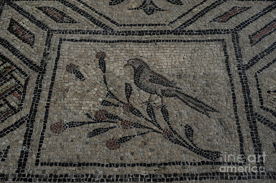 Early Christian Bird On Branch Symbol of Blessed In Paradise, Basilica ...
