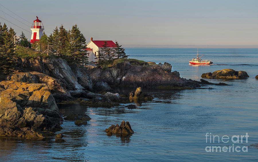 East Quoddy Campobello Photograph by Libby Lord | Fine Art America