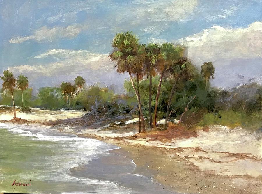 Egmont Key Beach Painting by Karim Gebahi - Pixels Egmont Key Beach Painting by Karim Gebahi - Pixels