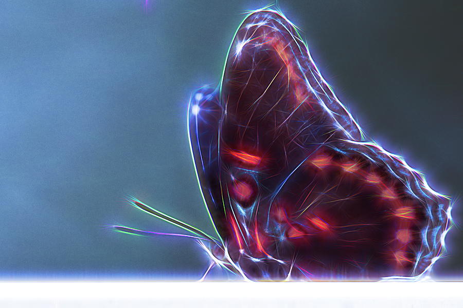 Electric Butterfly Photograph by Geraldine Scull