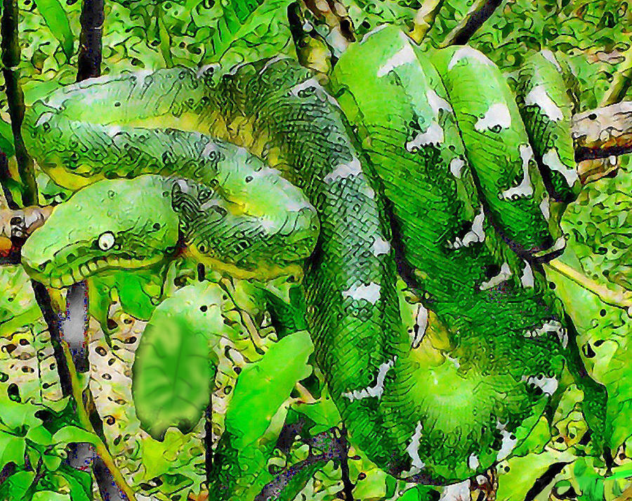 Emerald Tree Boa Digital Art by Ernest Smith - Fine Art America