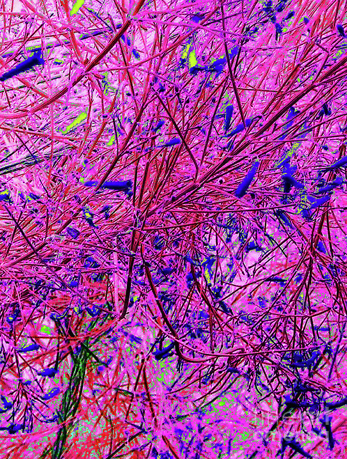 Digital Artwork representing people Entangled in their lives Digital ...