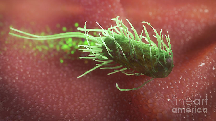 Escherichia Coli Bacteria Photograph By Helix Animation Science Photo Library Pixels