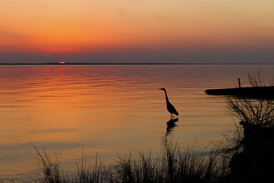 Evening Photograph by James Hardison - Fine Art America