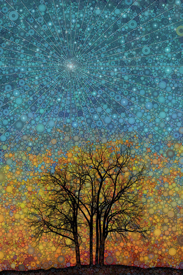 Evening Star Digital Art by Daniel McPheeters | Fine Art America