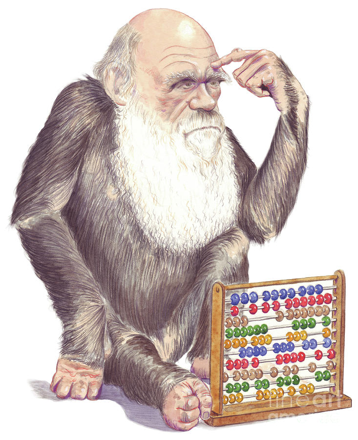 Evolution by Science Photo Library