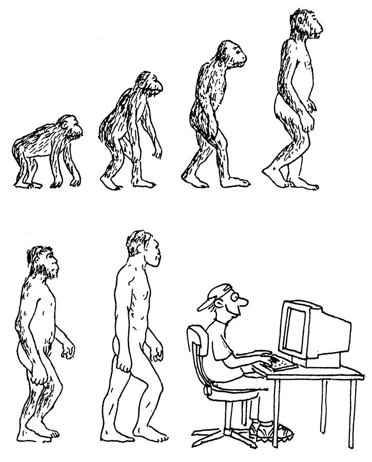 Evolution Drawing by Stan Eales - Pixels Merch