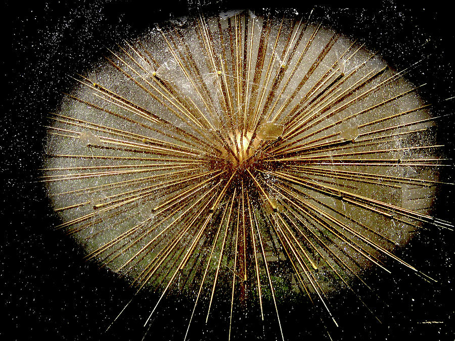 Exploding Star Photograph by Edward Gold - Fine Art America