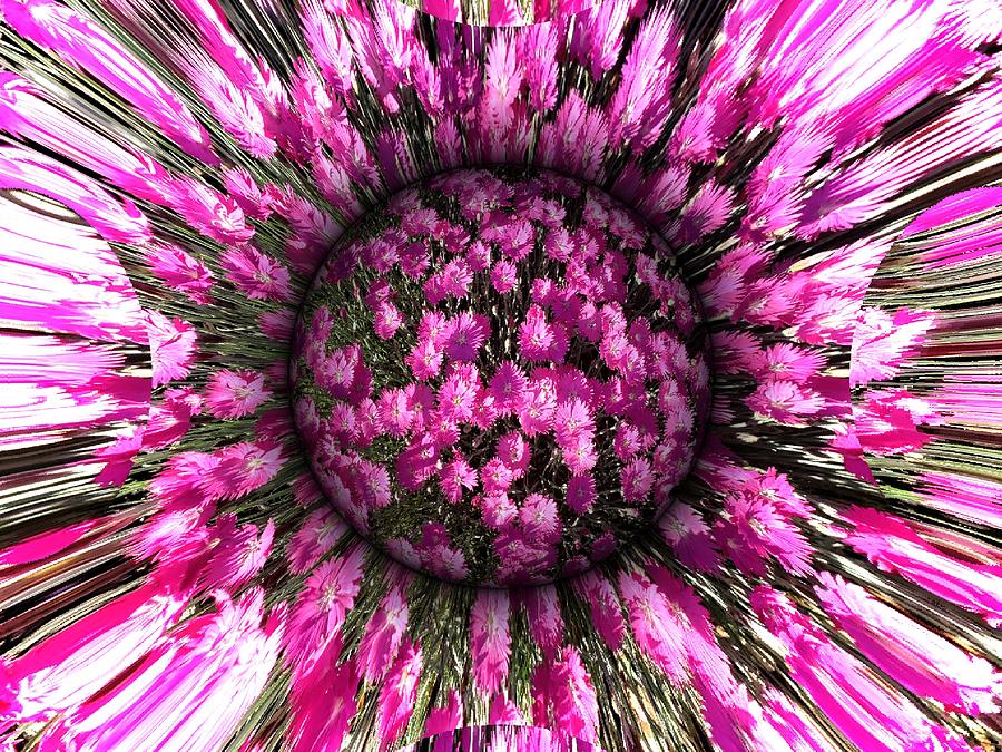 Explosion Digital Art by Lisa Salmon - Pixels