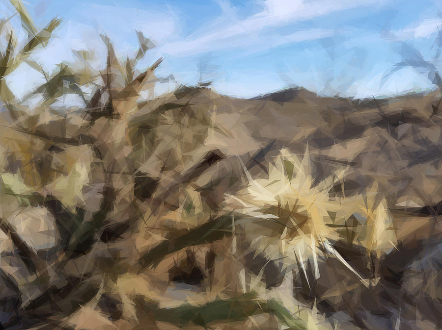 Extra Sharp Cactus Digital Art by Tom Elgin - Fine Art America