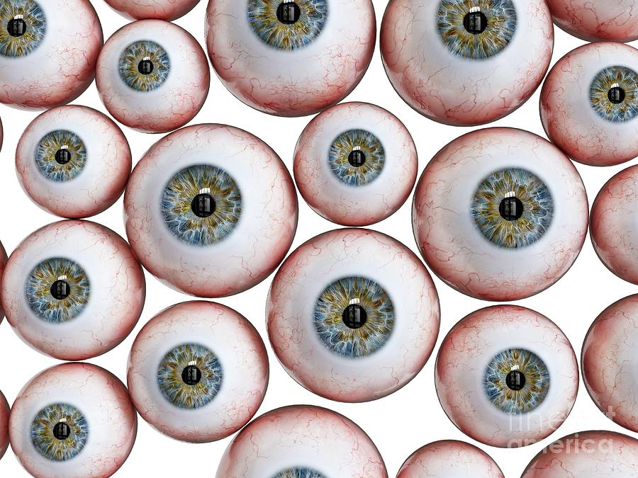 Eyeballs Photograph by Sebastian Kaulitzki/science Photo Library - Fine ...