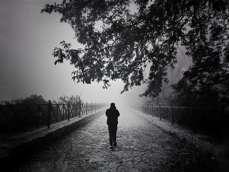 Facing The Light Photograph by Hosseinsoltanpour - Fine Art America