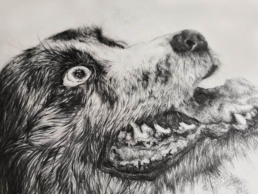Faithful Drawing by Sofija Gvozdeva - Fine Art America