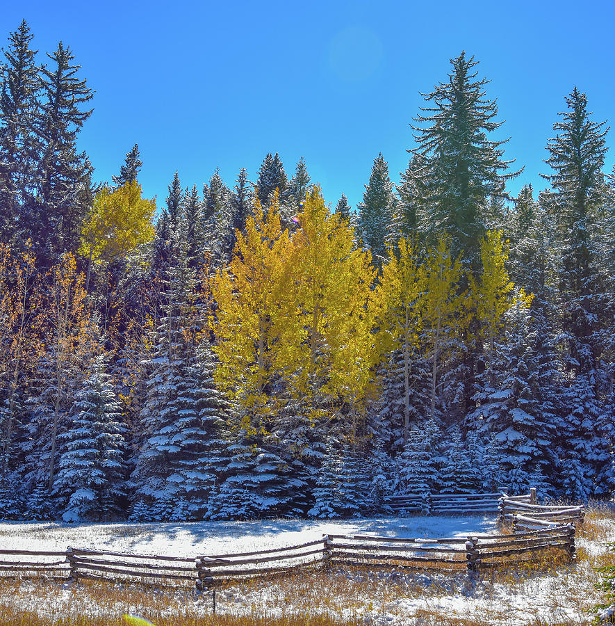 Fall and Winter Meet Up Photograph by Dave Masters - Fine Art America