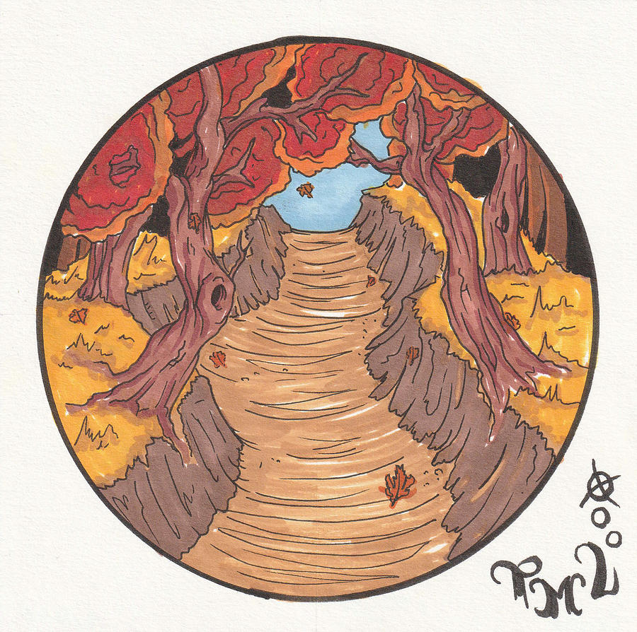 Fall Path Drawing by Taylor Lentz - Fine Art America